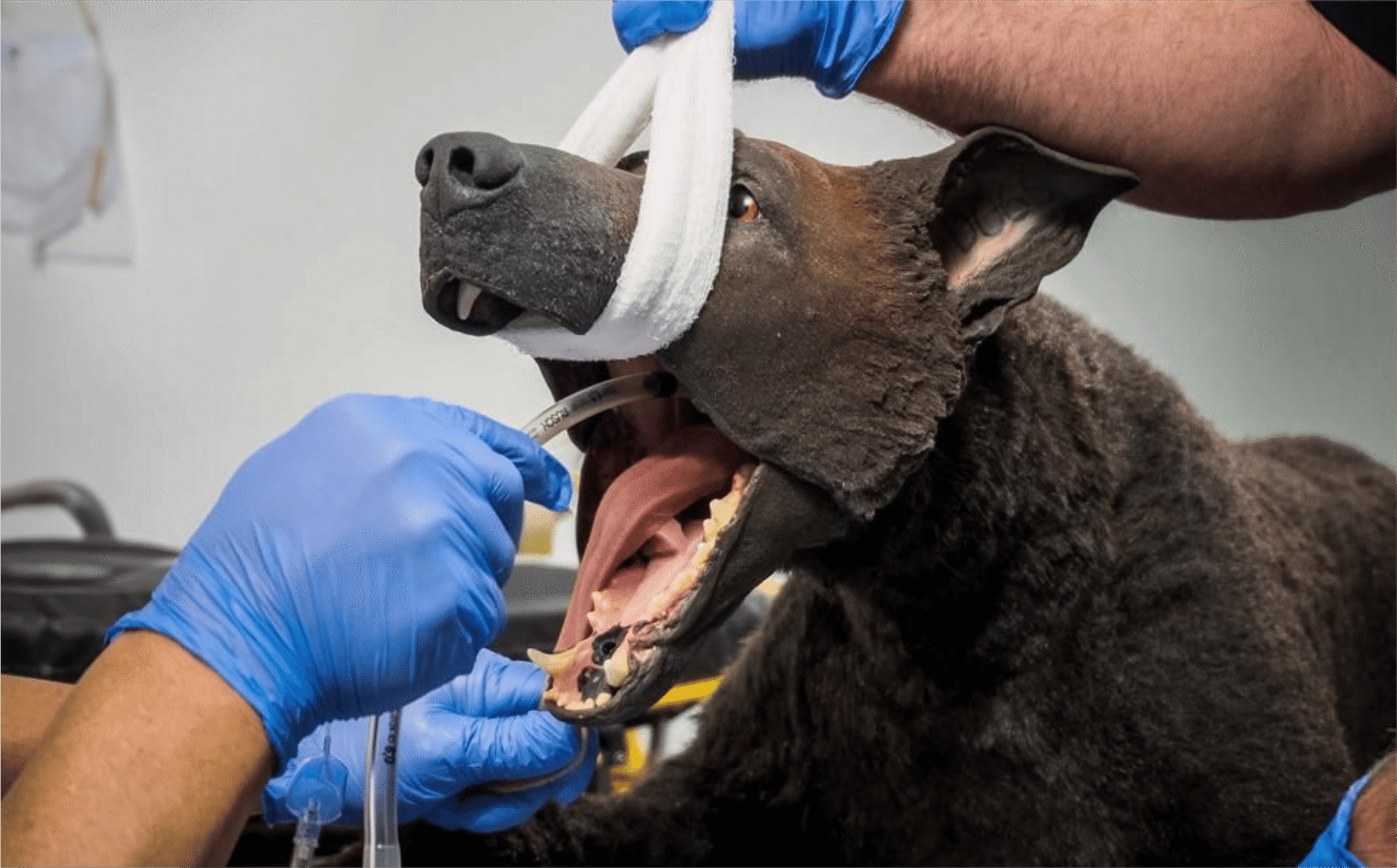 Home - jppharma.com.br